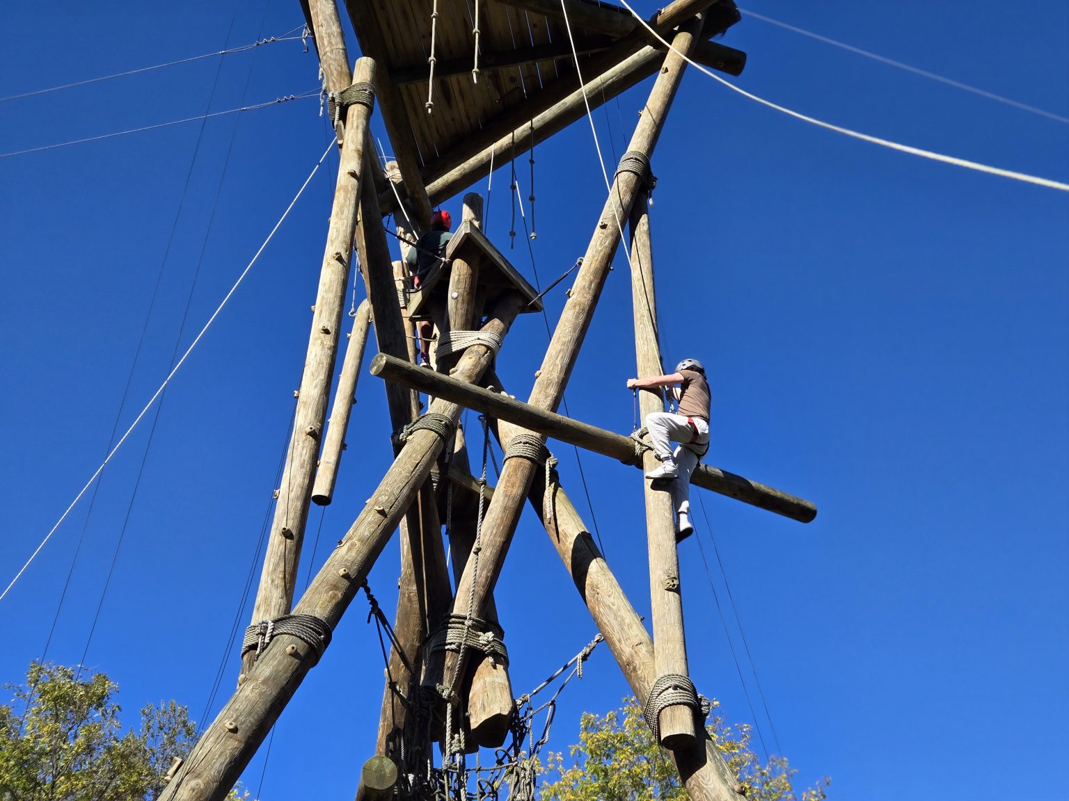 district6580ryla.com